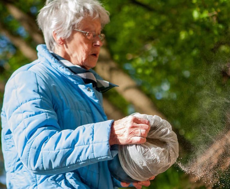 A Guide to Transporting and Scattering Cremation Ashes in Florida