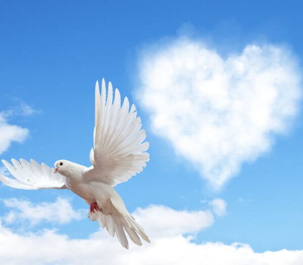 Personalizing Your Loved One's Direct Cremation in Florida
